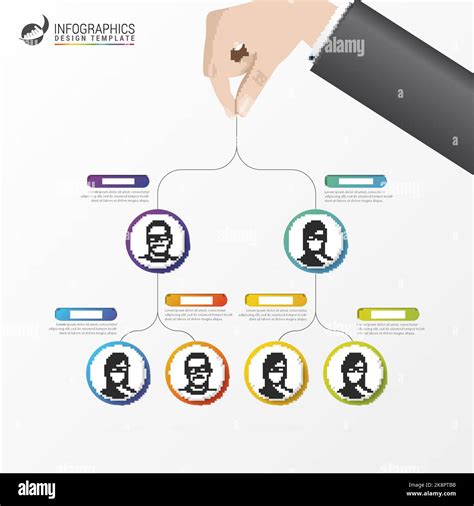 Business Structure Organisation Chart Infographic Design Vector