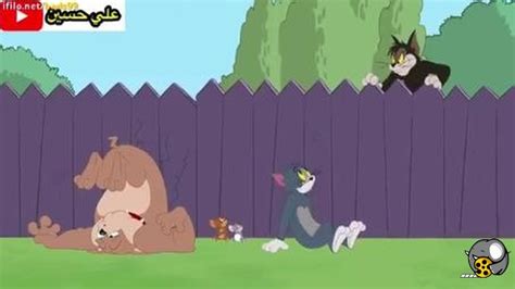 بازنشر ویدیوی طنز دوبله عراقی کارتون توم و جیری 😂😂😂🤣🤣 فیلو