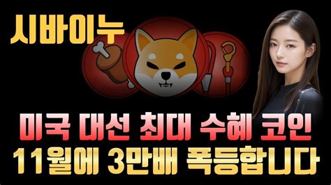 시바이누 전망 미국 대선 최대 수혜 코인 11월에 3만배 폭등합니다 Youtube
