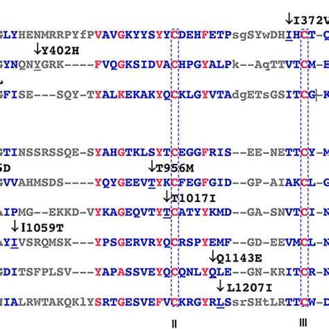 Amino Acid Sequence Alignment Of Complement Control Protein Ccp