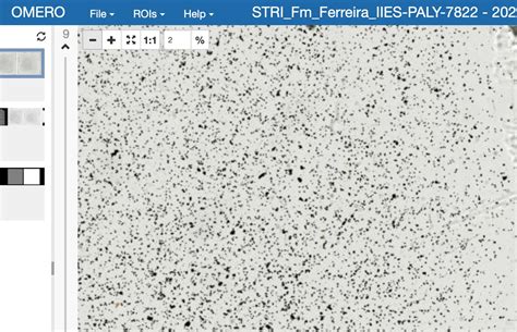 Omero Web Issues With Fpbioimage App And Ndpi Files Usage And Issues