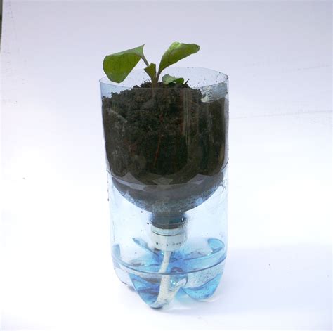 Self Watering System Plastic Bottles At Abel Charles Blog