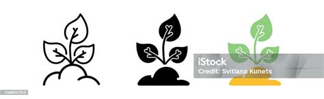 식물 세트 아이콘입니다 새싹 지구 잎 광합성 급수 꽃 성장 녹지 식물학 생리학 원예 개념입니다 선에 있는 벡터 아이콘 흰색 배경에 검은색과 화려한 스타일 0명에 대한 스톡