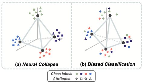 Neural Collapse Versus Low Rank Bias Is Deep Neural Collapse Really Optimal Ai Research