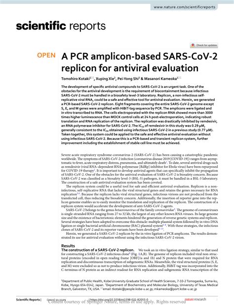 Pdf A Pcr Amplicon Based Sars Cov 2 Replicon For Antiviral Evaluation