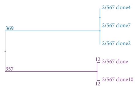 Analysis Of Variation In The Nrre 1 De Among Clones Of Isolates In The Download Scientific
