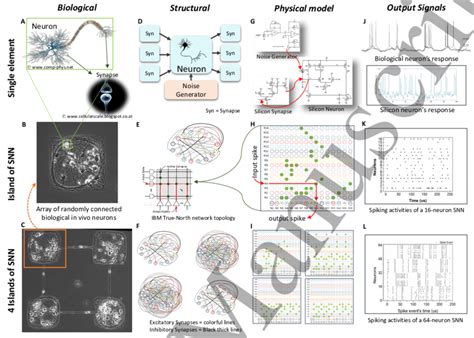 a general framework for modeling and exploiting noise induced spiking
