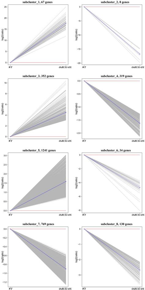 The K Means Clustering Of Differentially Expressed Genes Between Wt And Download Scientific