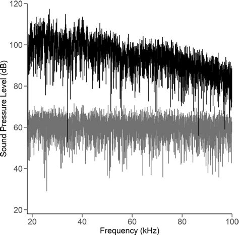 Sound Spectrum Spectrum Of Sound Produced Under Control Grey And High