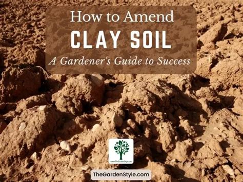 How To Amend Clay Soil A Gardener S Guide To Success The Garden Style
