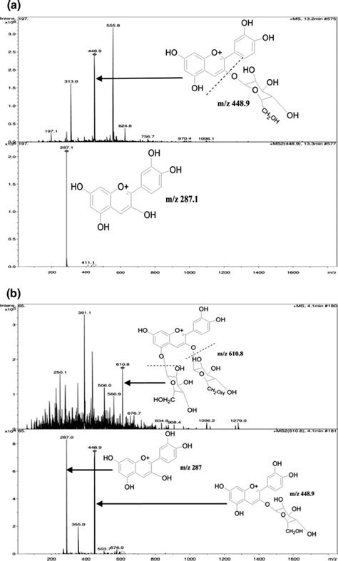 Esi Ms Ms Fragmentation Pattern And Proposed Structures Of Few Of The Download Scientific