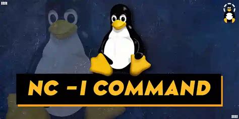 How To Understand The Action Of Nc L Command Its Linux Foss