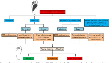 Figure 1 From Effect Of Tibial Cortex Transverse Transport In Patients