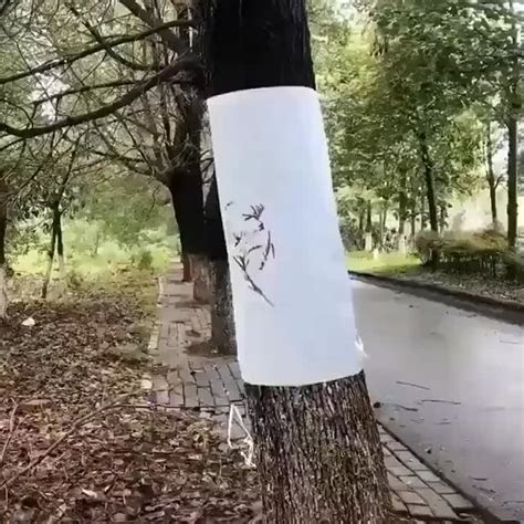 Bbosa Kiyingi Moses Posted On Linkedin