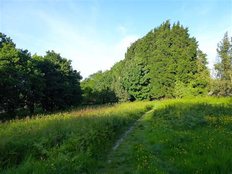 Long Meadow © Simon Carey Cc By Sa20 Geograph Britain And Ireland