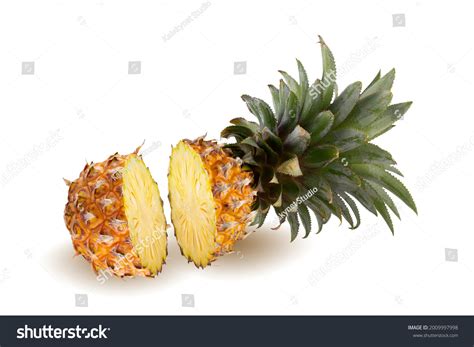 Ink Split 325개가 넘는 로열티 프리 라이선스 대상 스톡 사진 Shutterstock