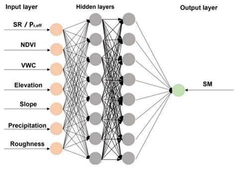 The Back Propagation Artificial Neural Network Bp Ann Model To