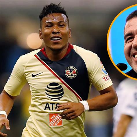 El Ataque De Un Enjambre De Abejas Que Causó Pánico En Un Partido Del