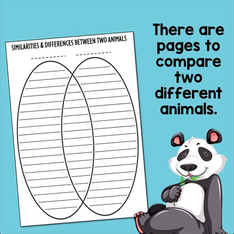 Toys Toys And Games Learning And School Classifying Animals Research