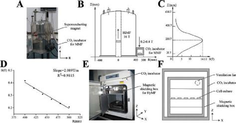 Schematic Diagram Of The SMF Exposure Systems A HiMF And MMF Were Download Scientific