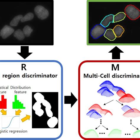 The Graphs Of The Extended Exponential Functions With Various Different