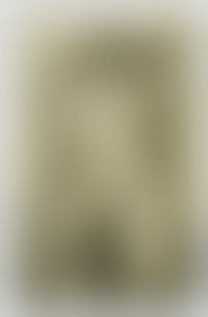 Cute Flapper Girl Vintagesmut