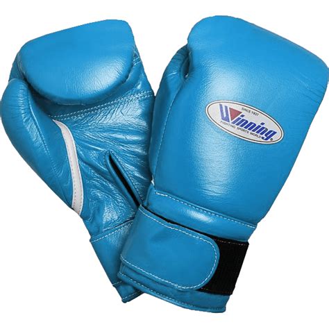 Боксерские перчатки Winning 14 Oz winboxglove099 купить в интернет ...