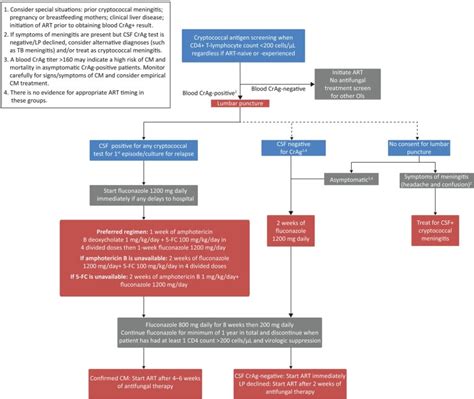 Cryptococcal Antigenemia In Advanced Human Immunodeficiency Virus Disease Pathophysiology