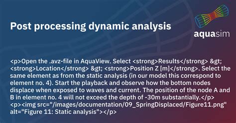 Post Processing Dynamic Analysis Aquasim