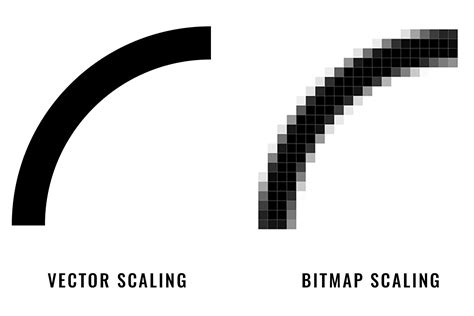 Graphics Software Types Purposes And Examples