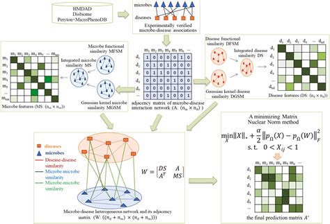 Mnnmda Predicting Human Microbe Disease Association Via A Method To Minimize Matrix Nuclear