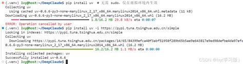 解决pip安装uv时下载速度慢 pip 安装uv csdn博客