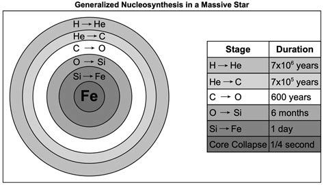 Generalized Nucleosynthesis In A Massive Star Ny Science Standards Wiki