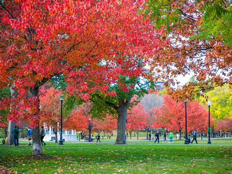 14 Places In Boston To See Fall Foliage For Gorgeous Fall Colors