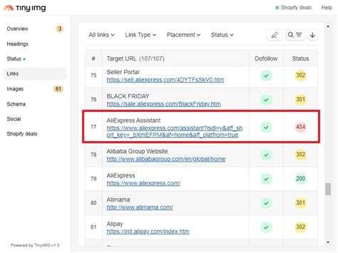 How To Fix Shopify 404 Errors With Tinyimg App In 2024