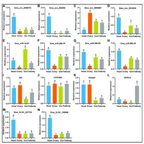 Tissue Specific Expression Patterns Of The Specific De Lncrnas