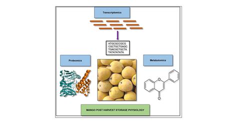 Advances In Physiological Transcriptomic Proteomic Metabolomic And Molecular Genetic