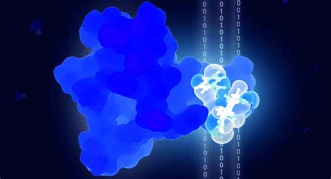 Fluorogenic Probes Reveals Fascinating Interactions Between Sugars And