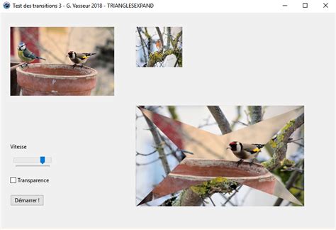 Les Transitions Entre Images Sous Lazarus Avec Bgrabitmap Xv Utilisation Des Formes