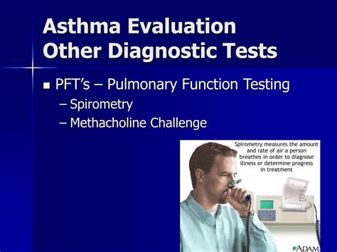 Ppt Asthma Powerpoint Presentation Free Download Id 1755841