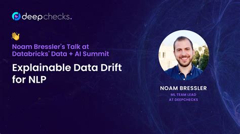 Explainable Data Drift For Nlp