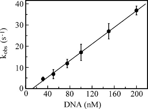 Stopped Flow Analysis Of Rpa Binding Single Stranded Purine Rich Sp52