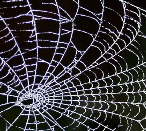 Teachers And Web 10 A Beginner´s Guide To Webs 123 X E Moderation