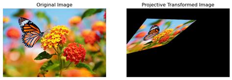 Scikit Image Projective Transform