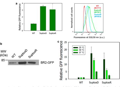 Figure 2 From Development Of Escherichia Coli Strains That Withstand