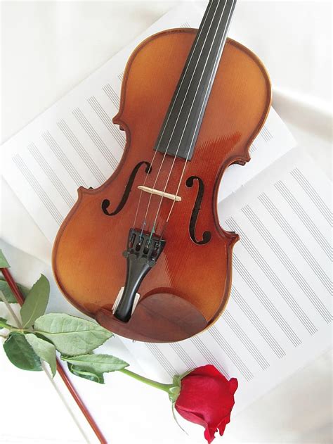 класически дърво инструмент цигулка наклонен струнен инструмент музика музикален