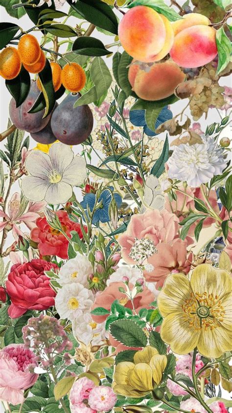 Flowers And Fruit Diagram Illustration