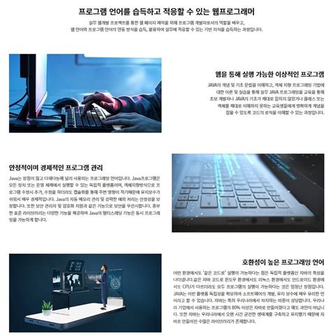 클라우드 기반의 Cicd를 활용한 풀스택 자바 뷰 플러터 개발자