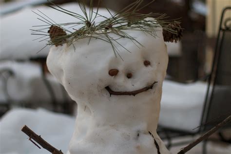 무료 이미지 겨울 화이트 꽃 봄 날씨 시즌 닫다 미술 머리 눈사람 동결 5184x3456 350618 무료 이미지 Pxhere