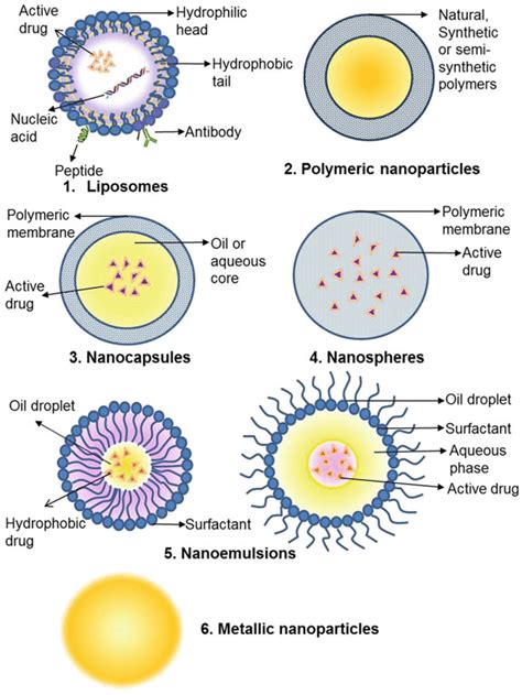 1 Schematic Representation Of The Structure Of Various Nanoparticles